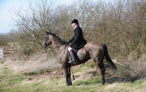 Were you out with the Tynedale or the Belvoir Hunt? [PICTURES] - Horse ...