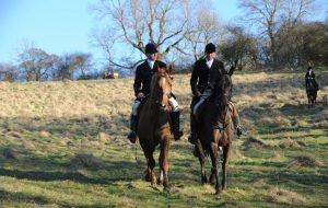 Were you out with the Tynedale or the Belvoir Hunt? [PICTURES] - Horse ...