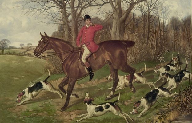 11 ideas for the ultimate horsey home - Horse & Hound