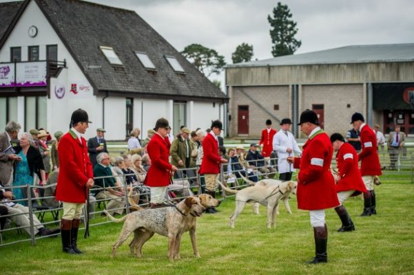 The winners: Wales & Border Counties Hound Show [PICS] - Horse & Hound