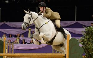 Working hunter - Page 2 of 3 - Horse & Hound