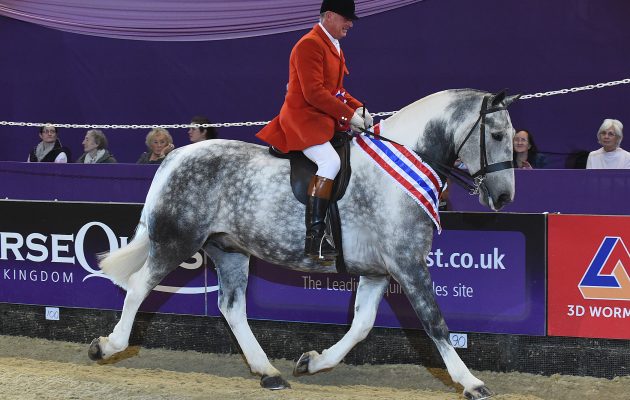 Allister Hood wins the coloured championship *VIDEO* - Horse & Hound