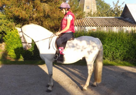 7 fabulous hunting ponies for sale this week *PICTURES* - Horse & Hound