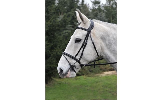 14 unmissable flash bridles - Horse & Hound
