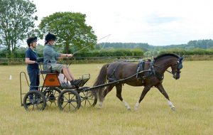 Pippa Funnell to compete in celebrity scurry at Olympia - Horse & Hound