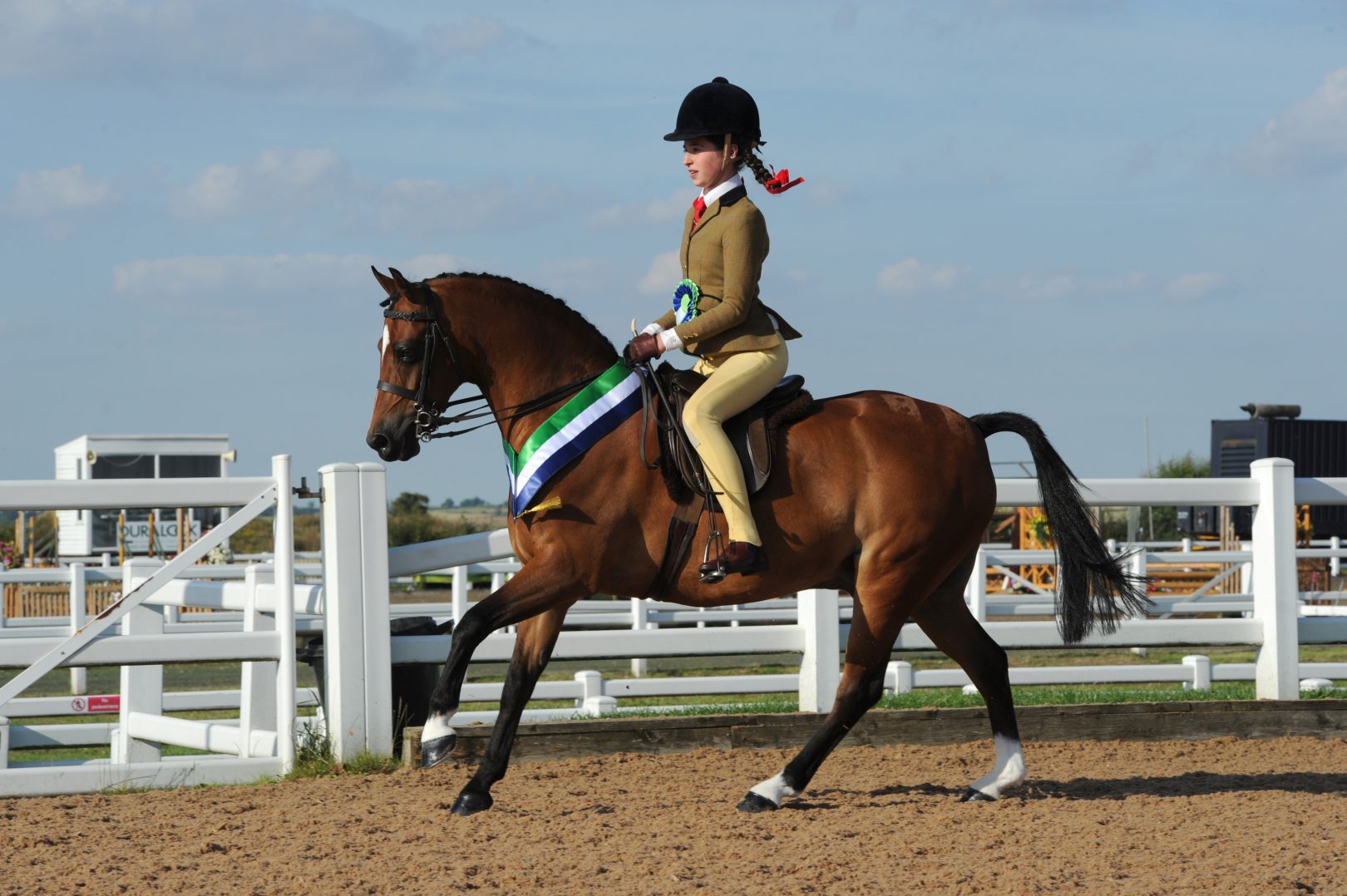 H&H's guide to show hack classes - Horse & Hound