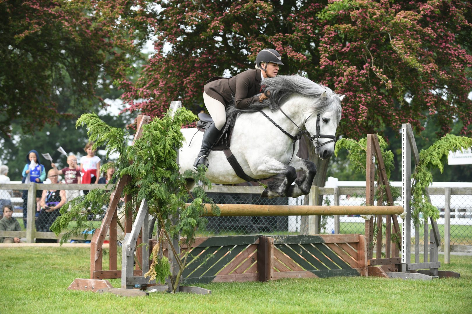 Working hunter pony classes: all you need to know to win | Horse & Hound