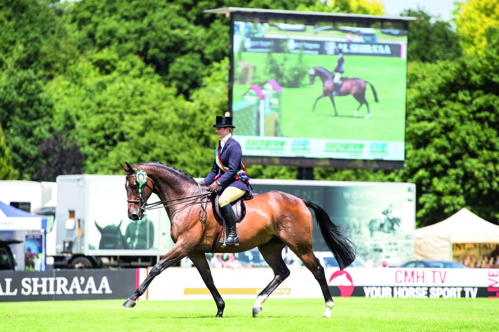 Horse & Hound's guide to ex-racehorse classes - Horse & Hound