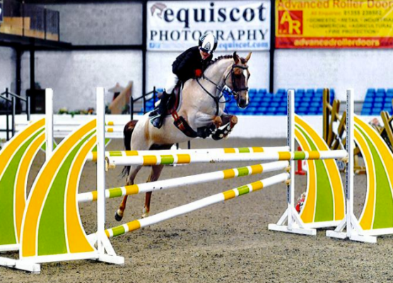 6 super showjumping ponies for sale this week - Horse & Hound