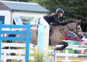 6 super showjumping ponies for sale this week - Horse & Hound