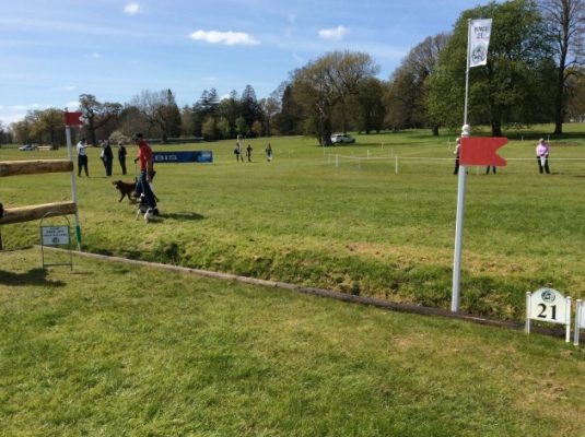 Walk the 2016 Badminton Horse Trials cross-country course - Horse & Hound