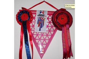 7 rosette display hangers to show off your hard work - Horse & Hound
