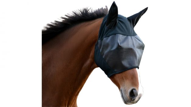 Best fly masks for horses in a range of designs | Horse & Hound