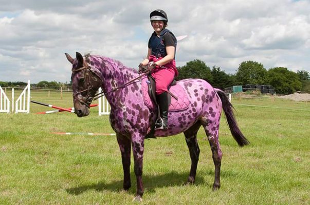 Pink dye - Horse & Hound