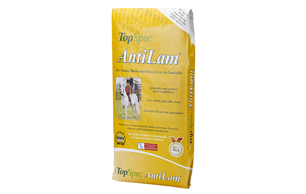 11 laminitis supplements to help manage this time of year - Horse & Hound