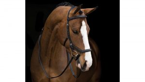 The Micklem bridle: what you need to know - Horse & Hound