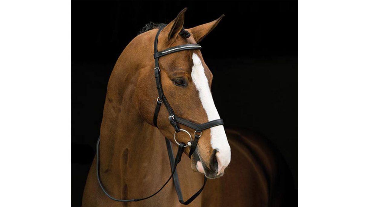 The Micklem bridle: what you need to know - Horse & Hound