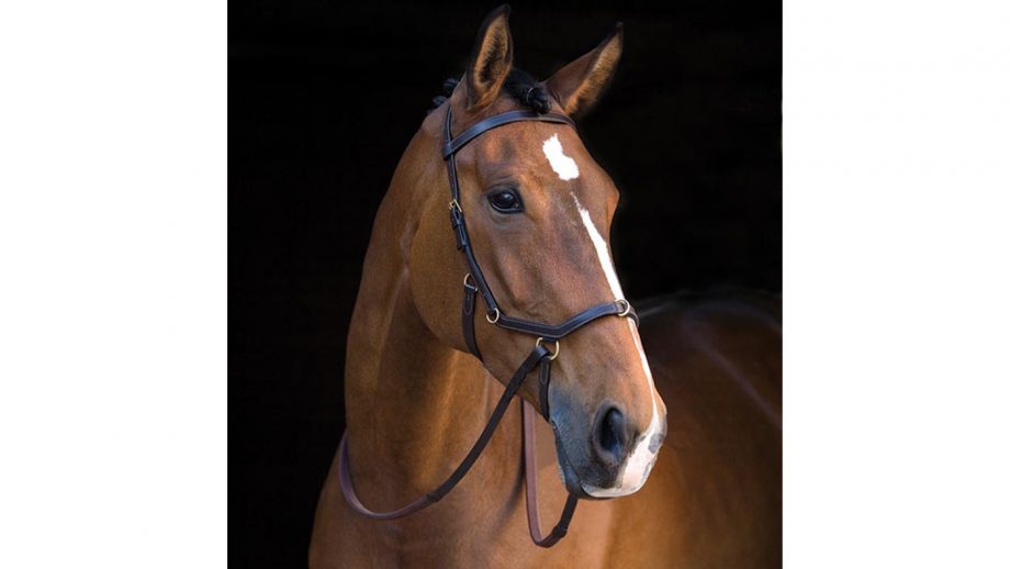 Best bitless bridles for starting your bitless journey | Horse & Hound