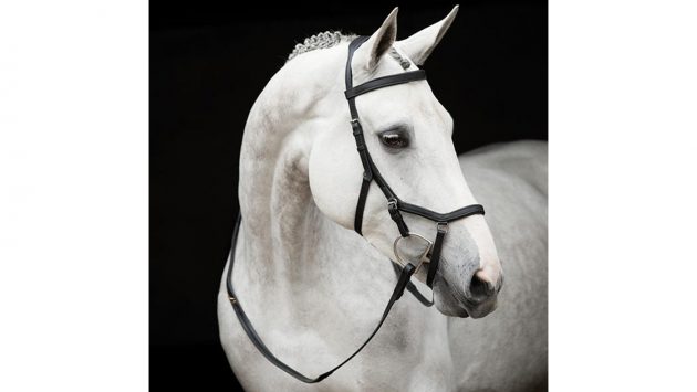 The Micklem bridle: what you need to know - Horse & Hound