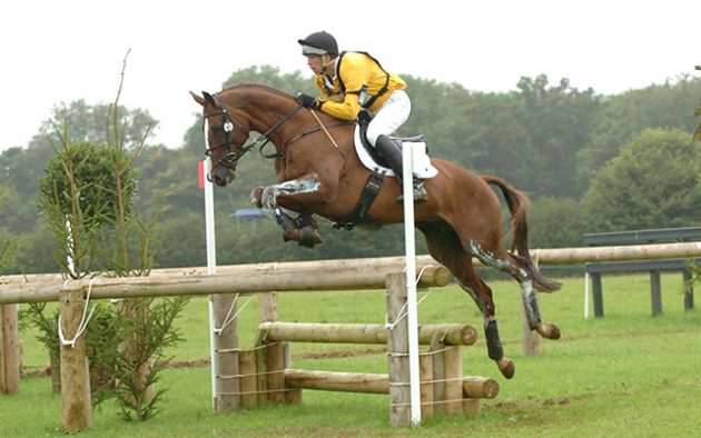 Nick Gauntlett riding Chilli Morning to second place in the open ...