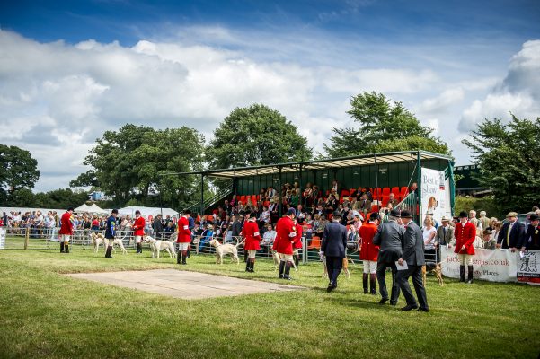West of England Hound Show 2016 Honiton — There was a large number of ...