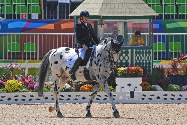 Tales from Rio: 'We used to draw our Paralympic horses out of a hat ...