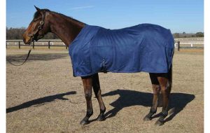 Keep your horse snug as a bug with these fabulous fleece sweat rugs ...