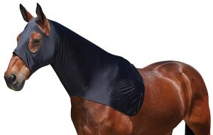 9 of the best stretch hoods — a must-have yard accessory - Horse & Hound