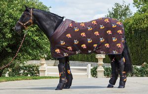 Keep your horse snug as a bug with these fabulous fleece sweat rugs ...
