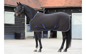 Keep your horse snug as a bug with these fabulous fleece sweat rugs ...