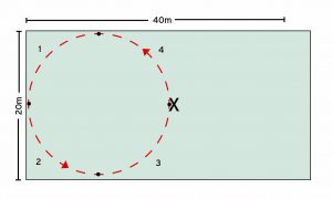 Riding the perfect circle and perfecting your prelim 1 - Horse & Hound