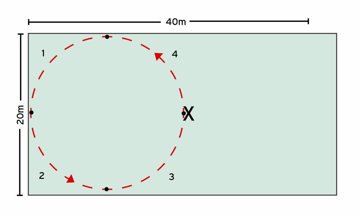Riding the perfect circle and perfecting your prelim 1 - Horse & Hound