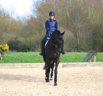 How can I get my horse to go more forwards? — Horse & Hound