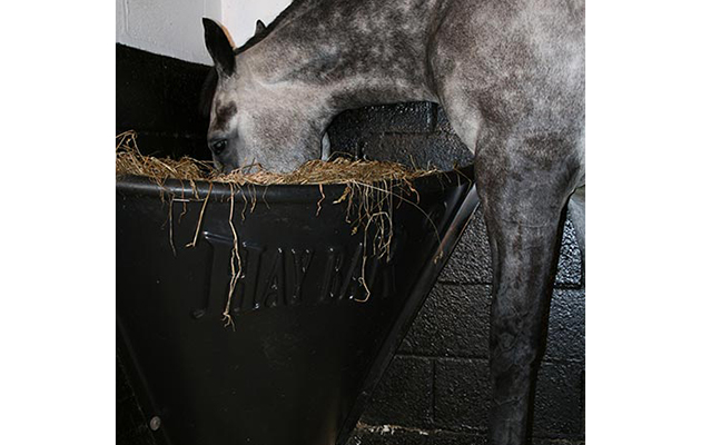 Hay-feeders that deliver forage naturally in the field and stable ...