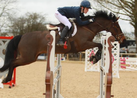 6 super jumping ponies that we wish we were small enough to ride ...