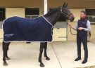 Sprinter Sacre moves yards to start new life with event rider - Horse ...