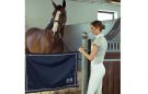 7 of the best stable guards for when you’re home or away - Horse & Hound