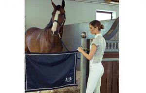 7 of the best stable guards for when you’re home or away - Horse & Hound