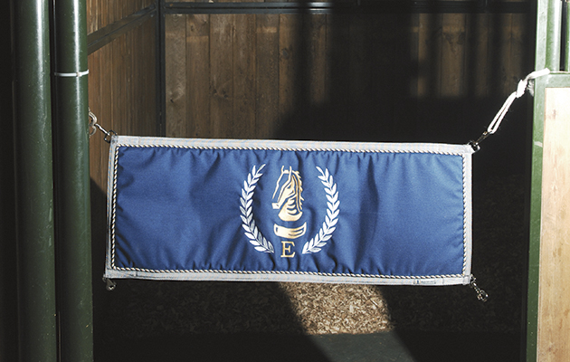 7 of the best stable guards for when you’re home or away - Horse & Hound
