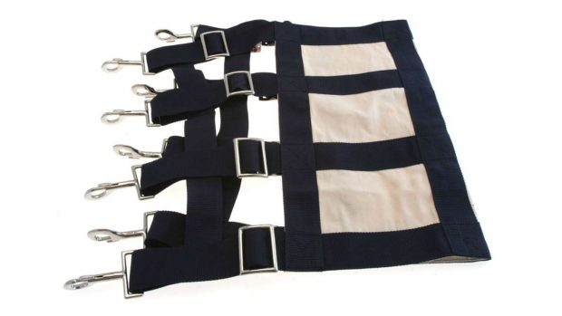 Best stable guards and stall chains | Horse & Hound