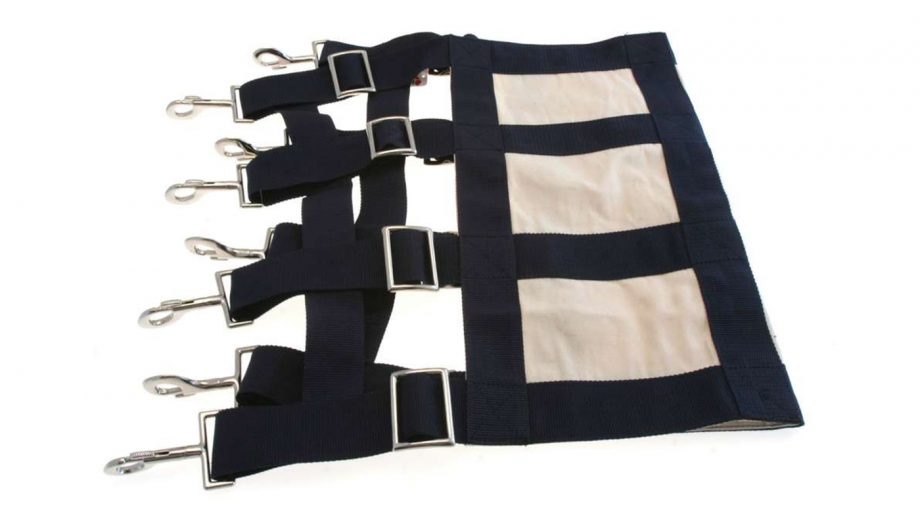 Best stable guards and stall chains | Horse & Hound