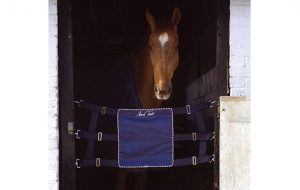 7 of the best stable guards for when you’re home or away - Horse & Hound