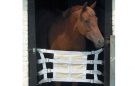 7 of the best stable guards for when you’re home or away - Horse & Hound
