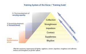 The 6 elements of classical riding every rider should know - Horse & Hound