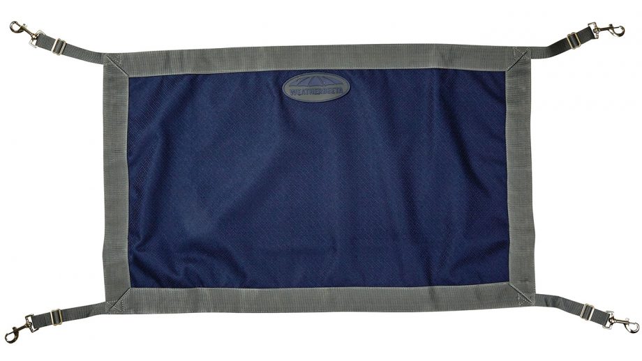 Best stable guards and stall chains | Horse & Hound