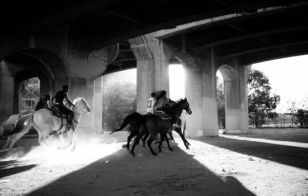 Iconic black horses star in latest Lloyds bank advert: watch how it was ...