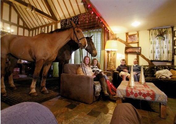 Pony in the porch: 10 horses and ponies who've made a sneaky appearance ...