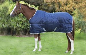 Medium weight stable rugs your horse will thank you for - Horse & Hound