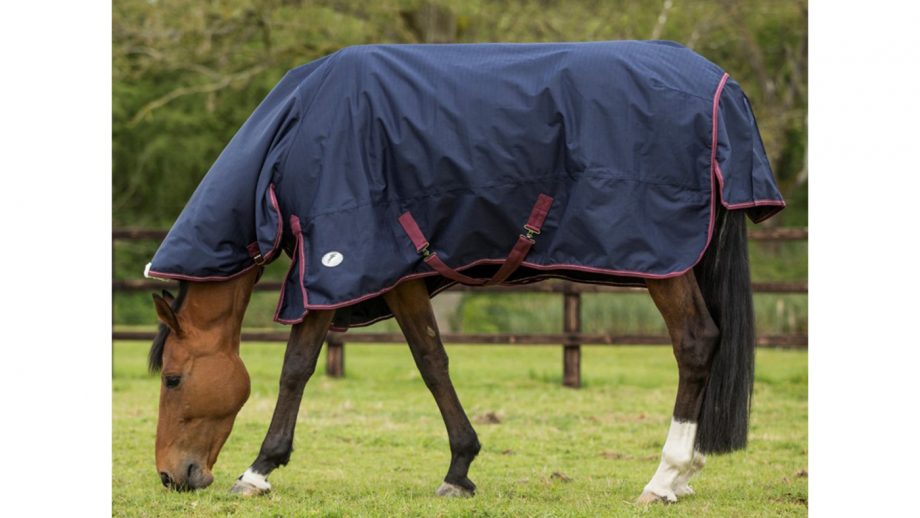 Best heavyweight turnout rugs for all budgets | Horse & Hound