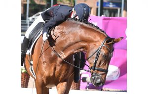 Suzanna Hext and Abira net a golden hat-trick at the para Europeans ...